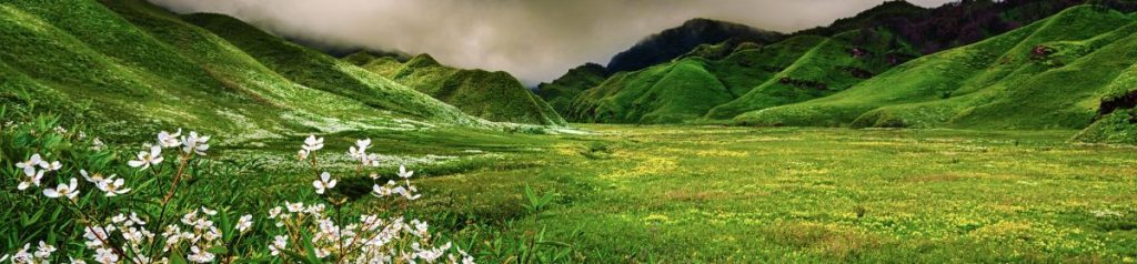 Security forces apprehend 4 UNLF (P) cadres in Manipur – The Shillong ...